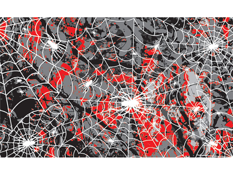 Pine Car Custom Body Skin Spider Web – Atlanta Hobby